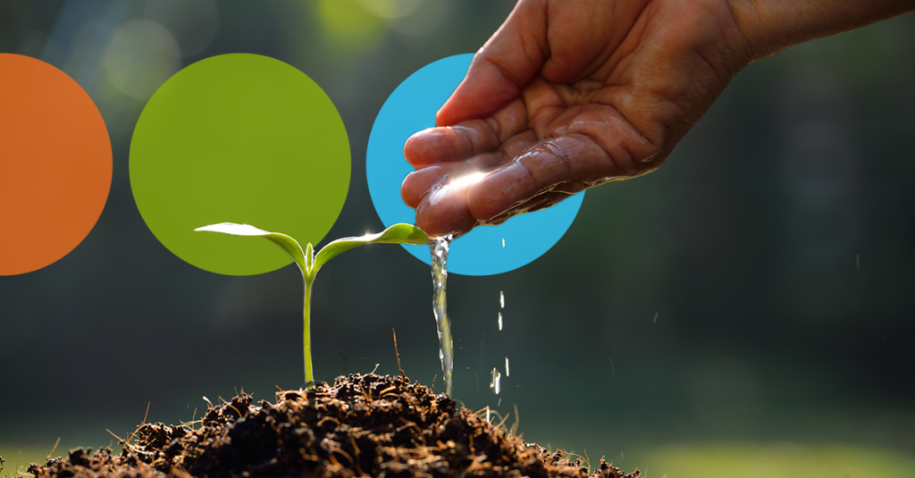 Build a solid leadership dev program I The Presentation Company